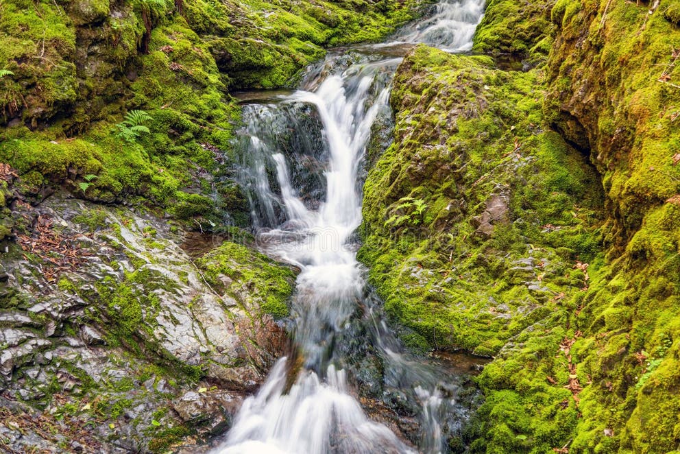 Waterfall between the Rocky Mountains and Jungle in Canada Stock Photo ...