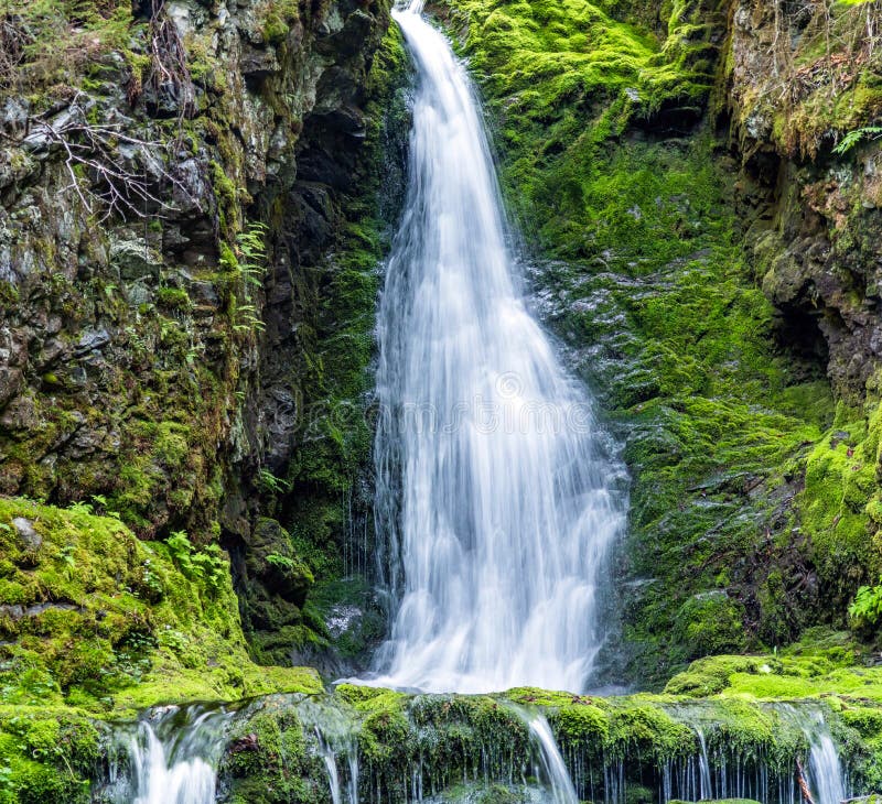 Waterfall between the Rocky Mountains and Jungle in Canada Stock Image ...