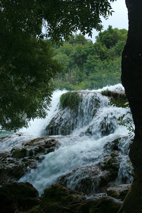 Waterfall Running Under the Tree Stock Photo - Image of skradin, canyon ...