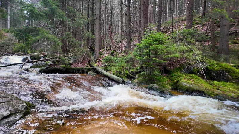 Waterfall on a Rushing River in a Mountain Forest among the Rocks ...