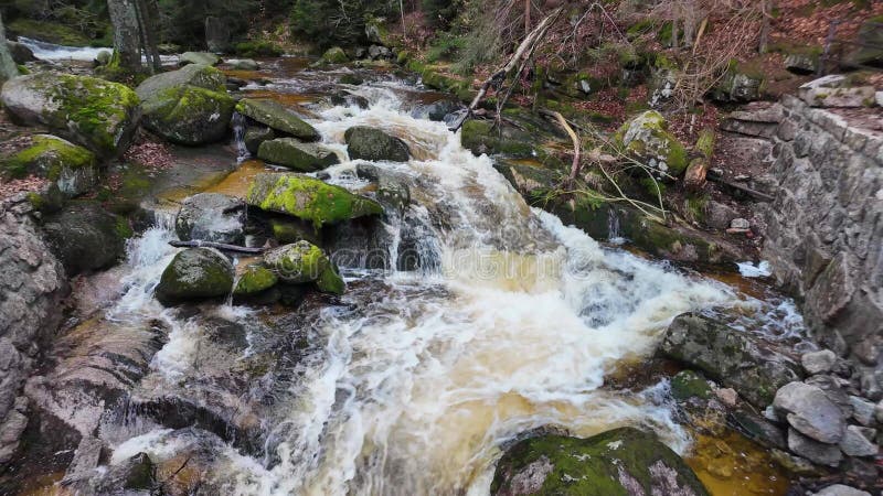 Waterfall on a Rushing River in a Mountain Forest among the Rocks ...