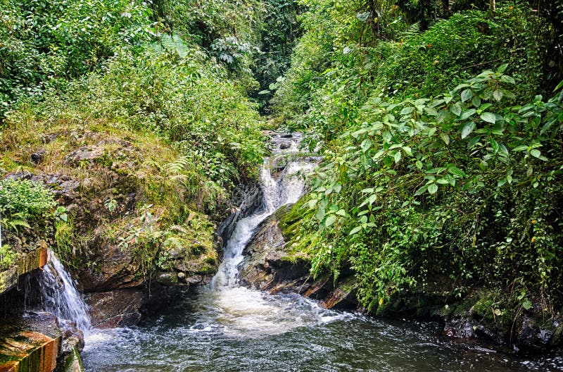 Waterfall At Santa Rosa De Cabal, Colombia Stock Photo - Image of cabal ...