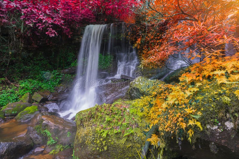 Waterfall Scene at Rom Klao Pharadon Waterfalls in Rainforest Thailand ...