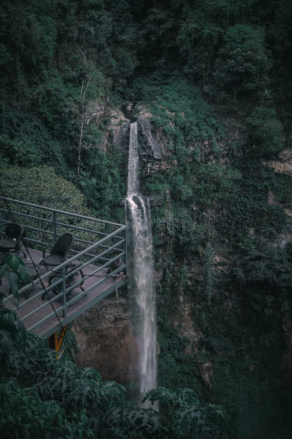 Waterfall Views from the Top Stock Photo - Image of plant, stream ...