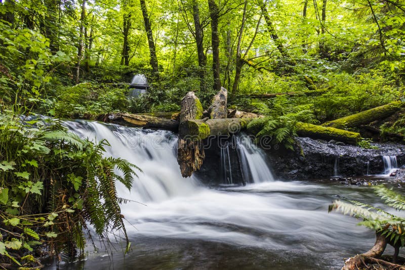 Waterfall Scenery in Silver Falls State Park, Oregon . Stock Image ...