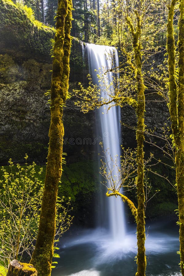 Waterfall Scenery in Silver Falls State Park, Oregon . Stock Image ...