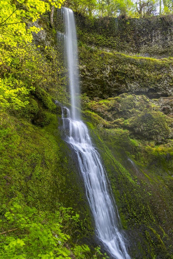 Waterfall Scenery in Silver Falls State Park, Oregon . Stock Photo ...