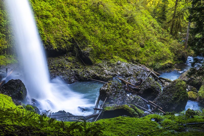 Waterfall Scenery in Silver Falls State Park, Oregon . Stock Photo ...