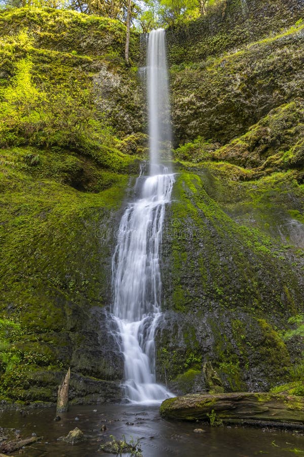Waterfall Scenery in Silver Falls State Park, Oregon . Stock Photo ...