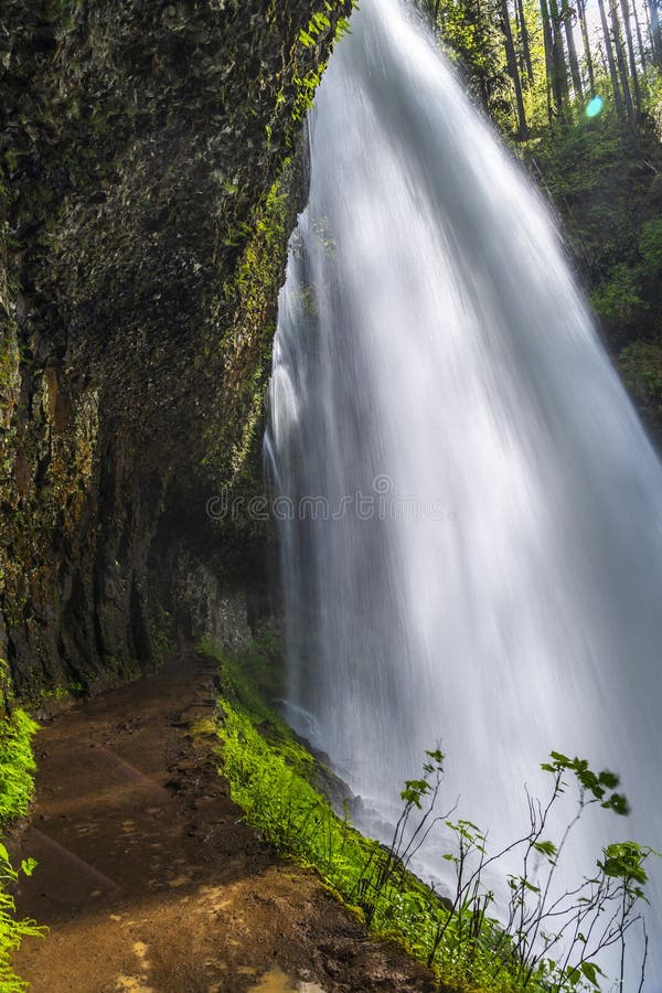 Waterfall Scenery in Silver Falls State Park, Oregon . Stock Photo ...
