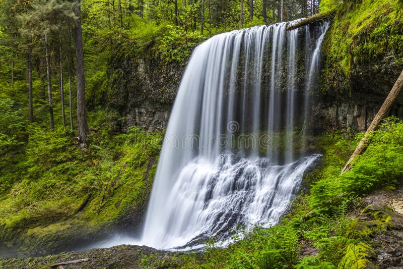 Waterfall Scenery in Silver Falls State Park, Oregon . Stock Photo ...