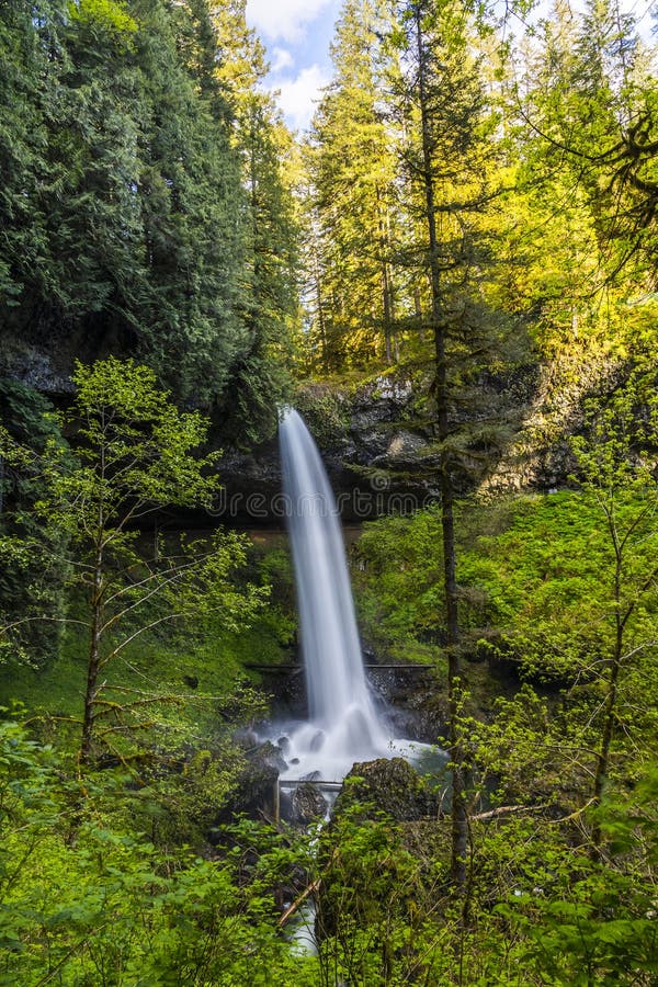 Waterfall Scenery in Silver Falls State Park, Oregon . Stock Image ...