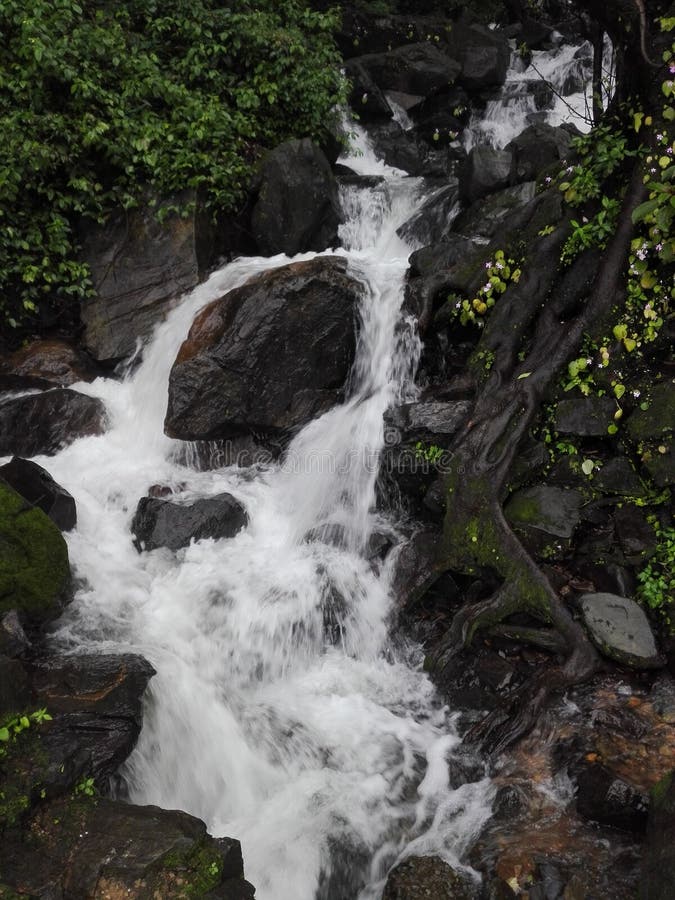 Waterfall Scenes Border Way of Goa Stock Photo - Image of waterfall ...