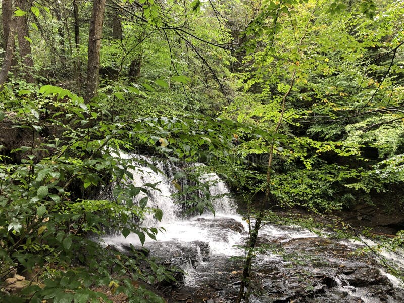 Waterfall in September at Ricketts Glen State Park in Pennsylvania ...
