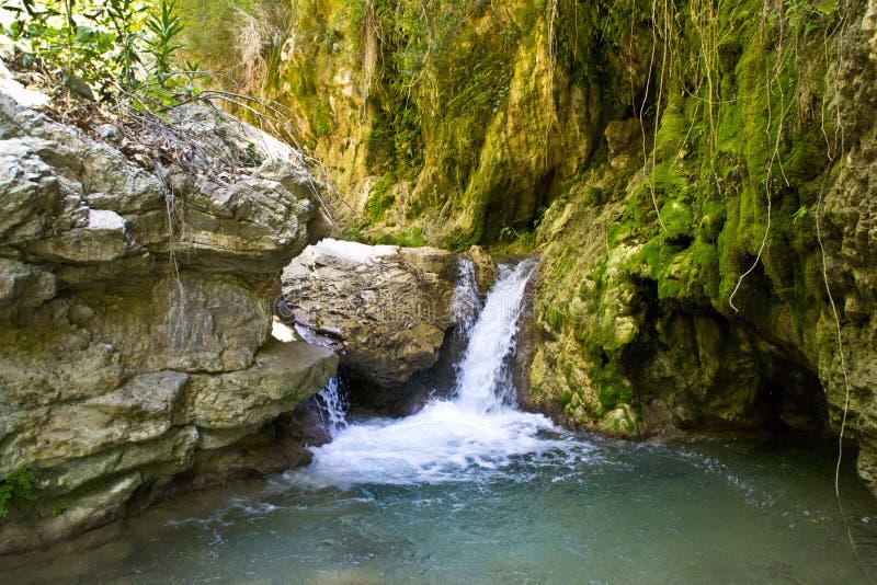 Sergoula Stock Photos - Free & Royalty-Free Stock Photos from Dreamstime