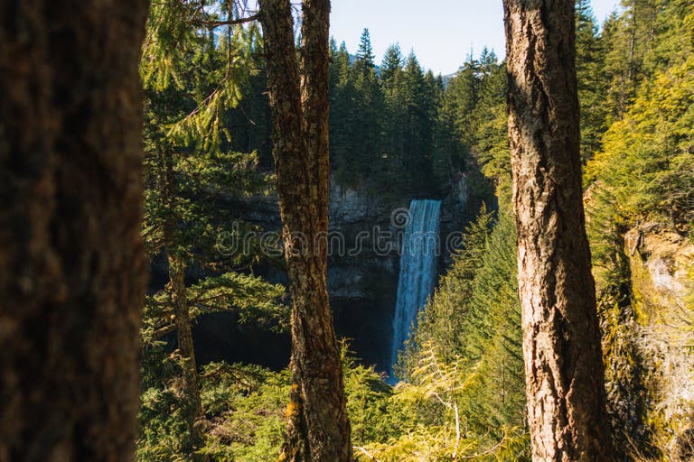 Waterfall in the Shadow in Deep Forest Stock Image - Image of hike ...