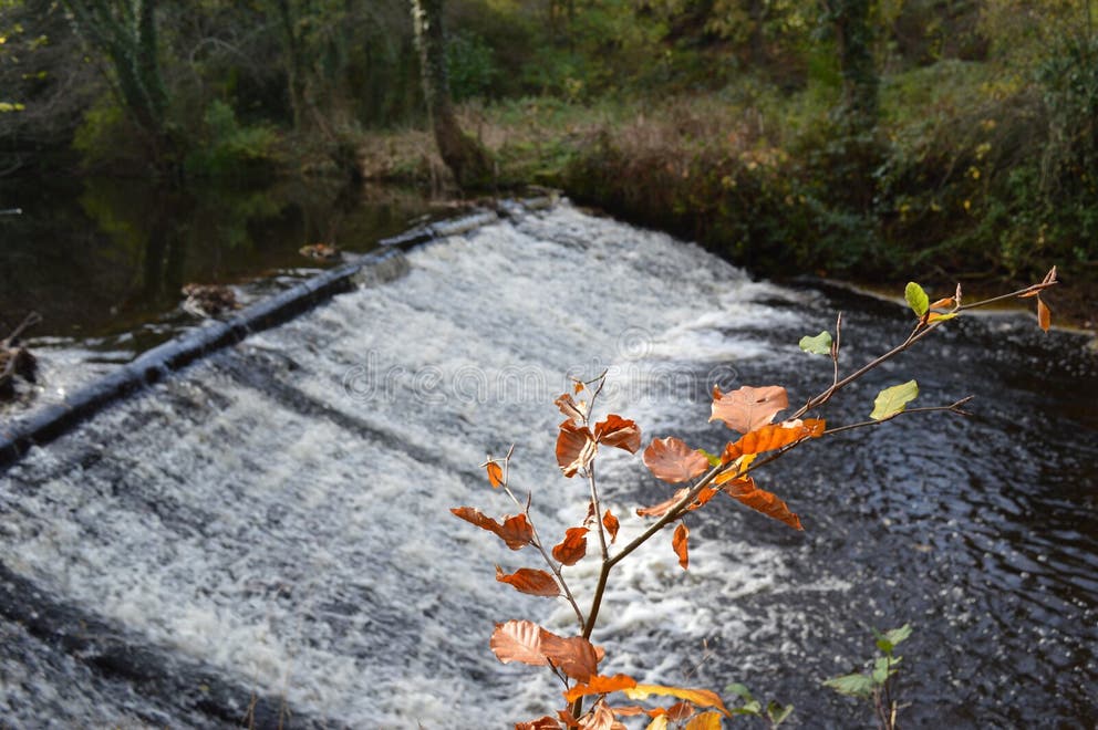 Waterfall stock photo. Image of waterfall, rivelin, sheffield - 46316770