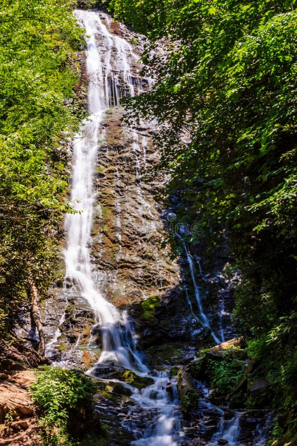 A Waterfall is Shown in a Lush Green Forest Stock Photo - Image of ...