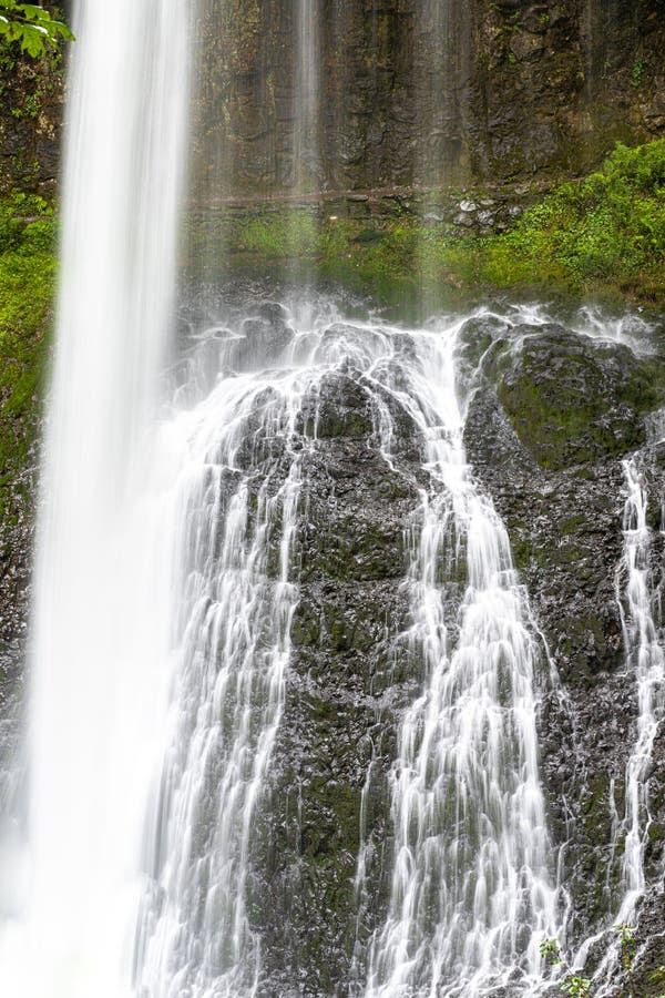 Silver Falls State Park, or Stock Photo - Image of state, salem: 253566248