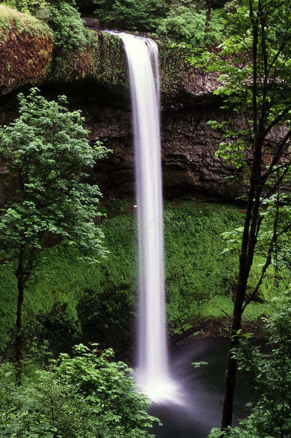 Oregon Cascade Mountains, Silver Falls State Park Stock Image - Image ...