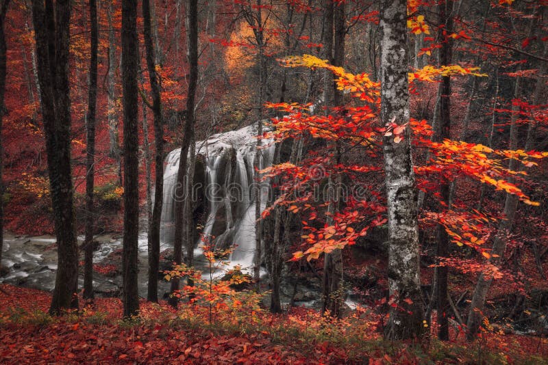 409 Longexposure Flow Stream Stock Photos - Free & Royalty-Free Stock ...