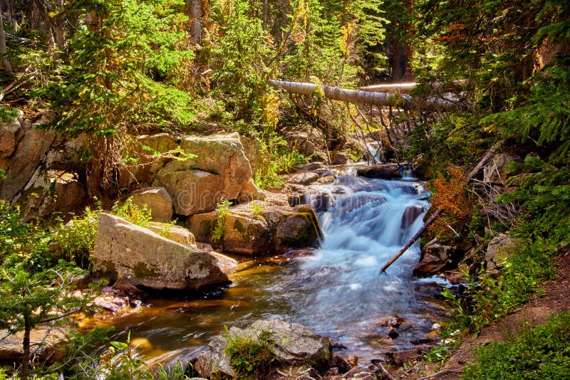 Waterfall in Small Creek with Fallen Trees and Boulders Stock Image ...