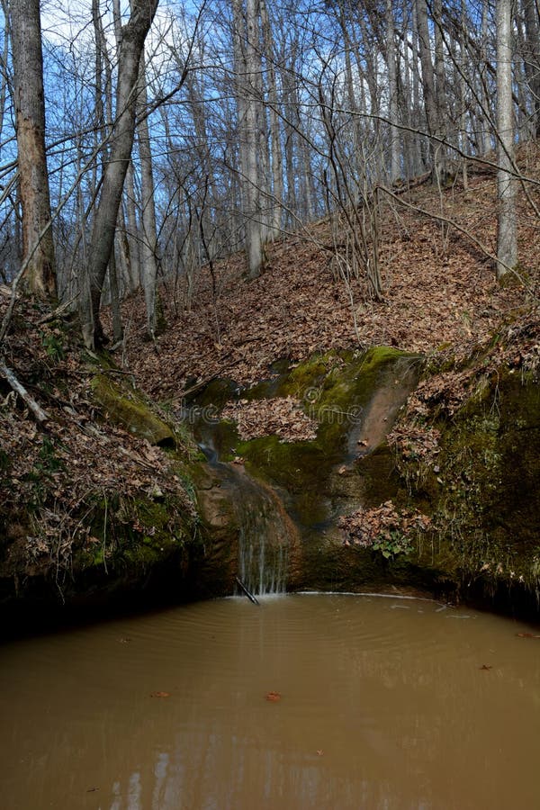 Waterfall stock photo. Image of country, forest, pool - 69059296