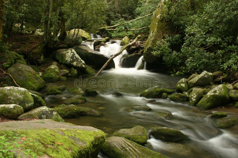 Waterfall stock image. Image of wildlife, rocks, forest - 48522629