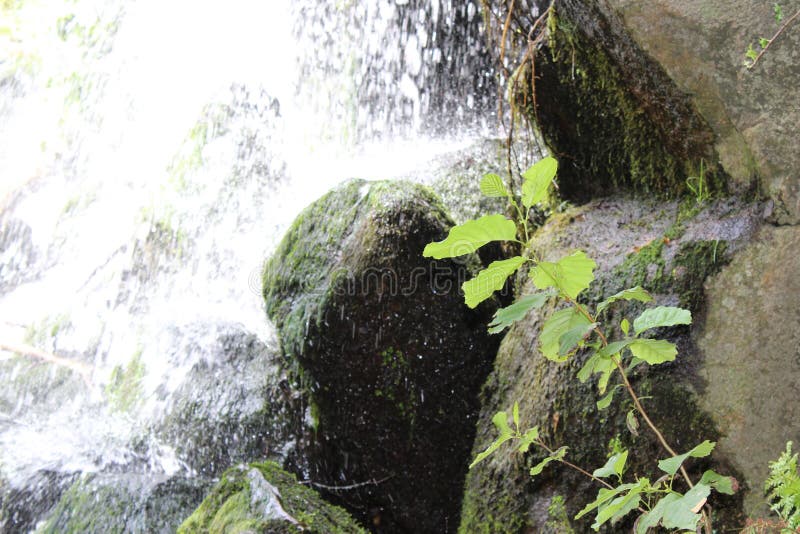 Waterfall in Sonsbeek stock image. Image of gorgeous - 196976823