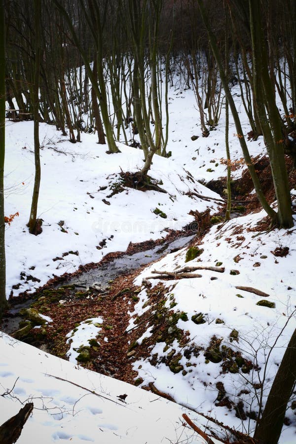 Waterfall sourse stock photo. Image of forest, earth - 85437990