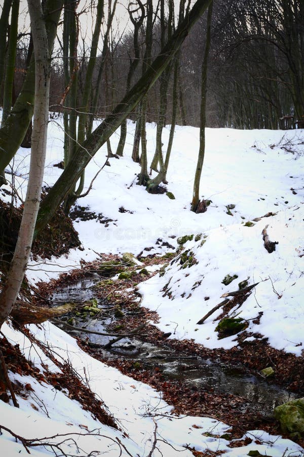 Waterfall sourse stock photo. Image of earth, grace, sourse - 85438066