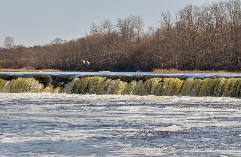 Waterfall in a spring. stock image. Image of jump, flowing - 72746827