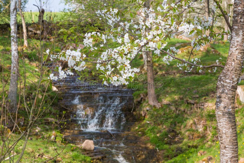 Waterfall in spring stock photo. Image of forest, people - 70686328