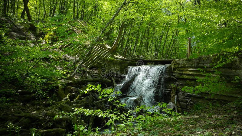 Waterfall in the Spring Forest Stock Photo - Image of young, grow ...