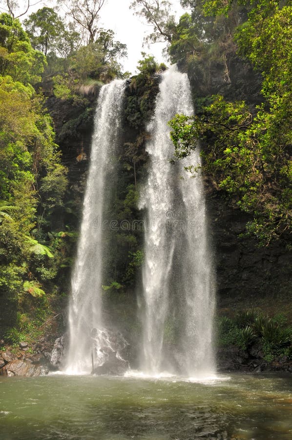 Waterfall in the Springbrook National Park Stock Photo - Image of twin ...