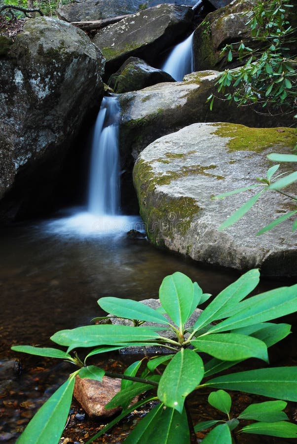 Waterfall Steps stock photo. Image of nature, forest, water - 4180290