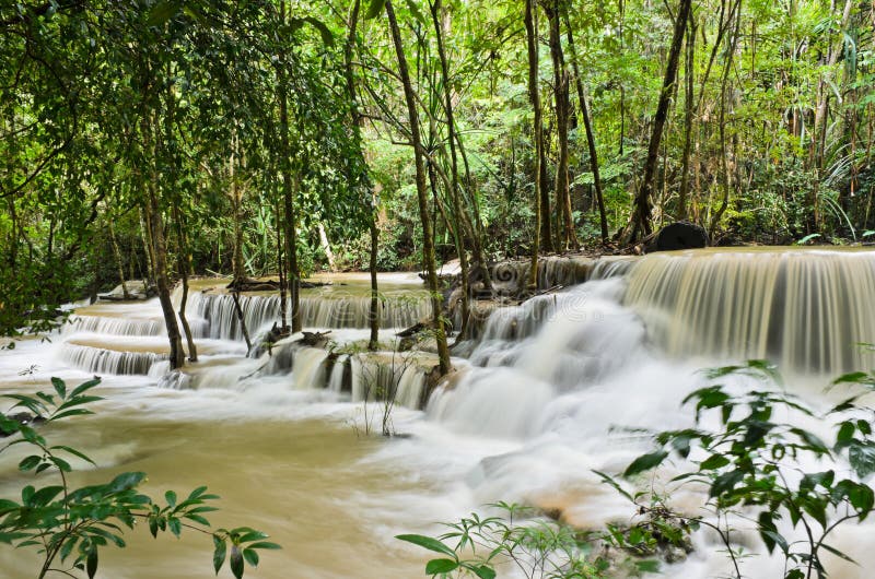 Waterfall stream stock image. Image of motion, plant - 26604977