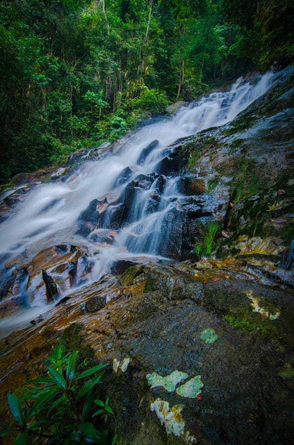 Waterfall Stream Down, Flowing in the Tropical Rainforest Stock Image ...