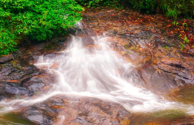 Waterfall and Stream Flowing Stream and Beautiful Stock Photo - Image ...