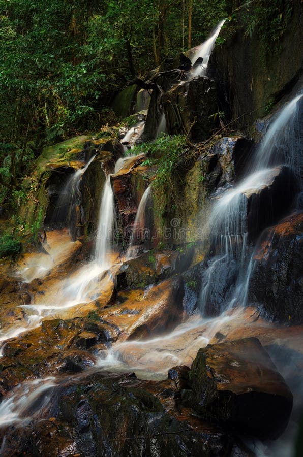 Waterfall Stream Flowing in the Tropical Rainforest and Moss Covering ...