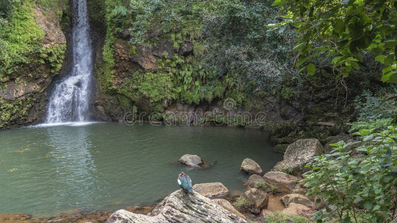 Waterfall. the Stream Flows Down a Sheer Cliff into a Turquoise Lake ...