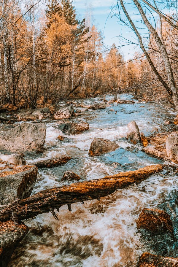 Waterfall Stream on the Stones of the Autumn Forest. Autumn Forest ...