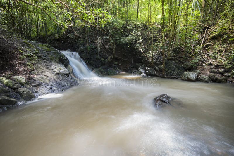 Waterfall Stream Tropical Forest Stock Photo - Image of conserve ...