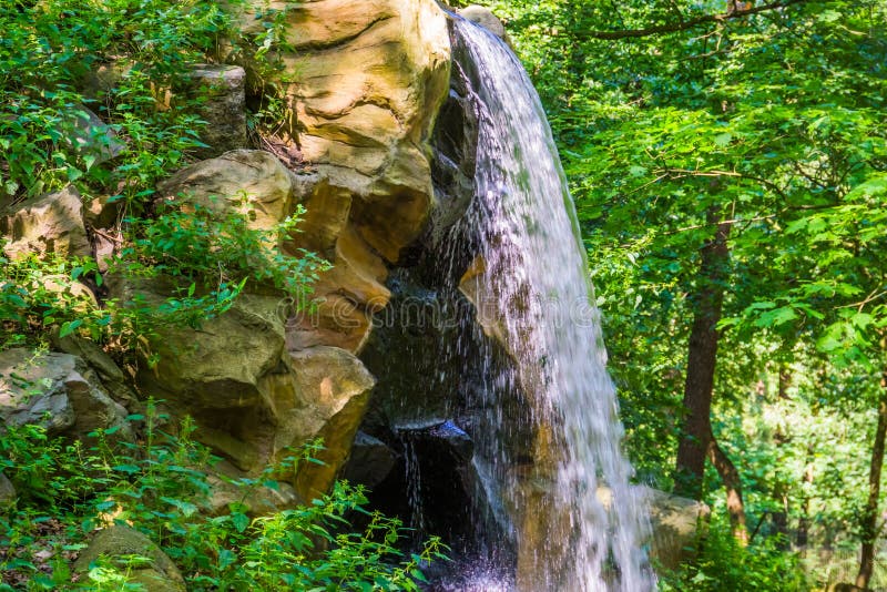Waterfall Streaming of a Cliff in a Forest, Nature Background, Garden ...