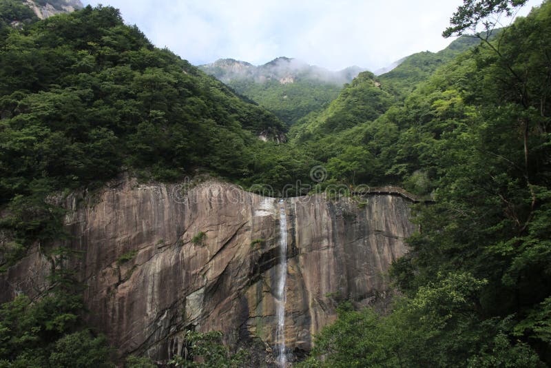 A Waterfall Streaming from a Hill in a Green Forest Stock Photo - Image ...