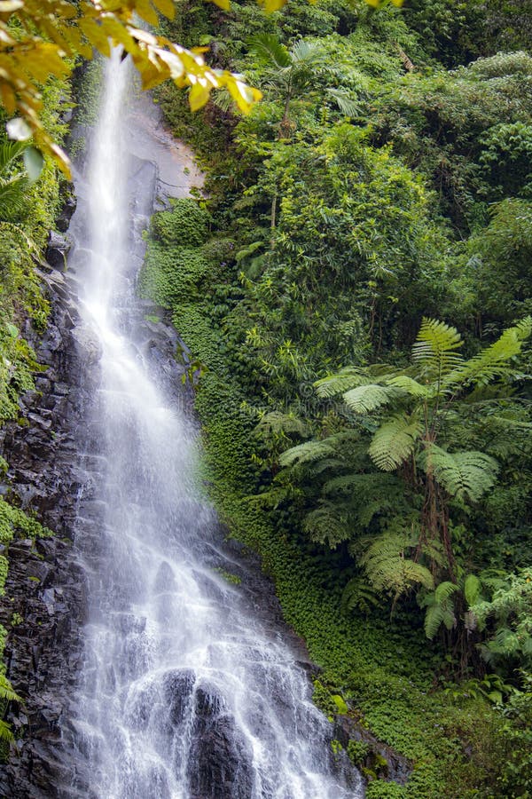 Waterfall stock photo. Image of forest, wilderness, ravine - 382678010