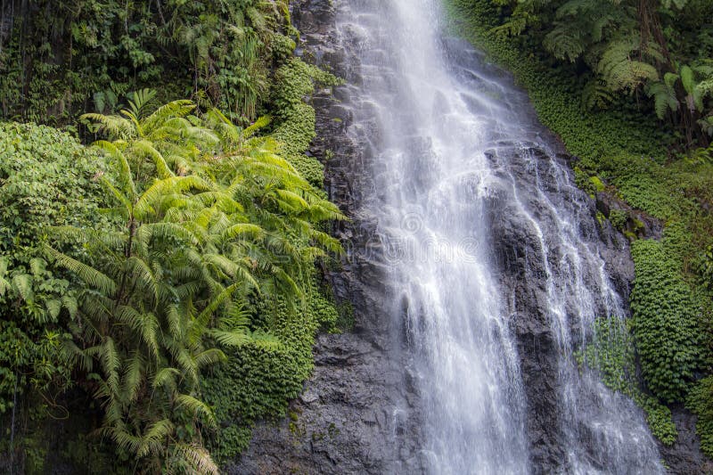 Waterfall stock image. Image of river, water, rapid - 382677147