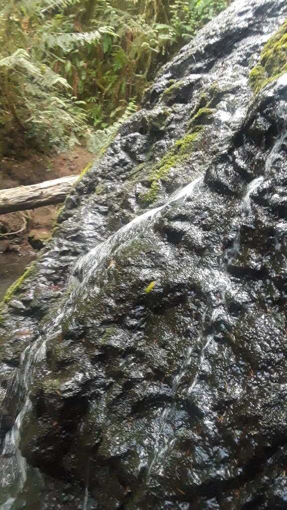 Waterfall in summer drout stock image. Image of tree - 210450041