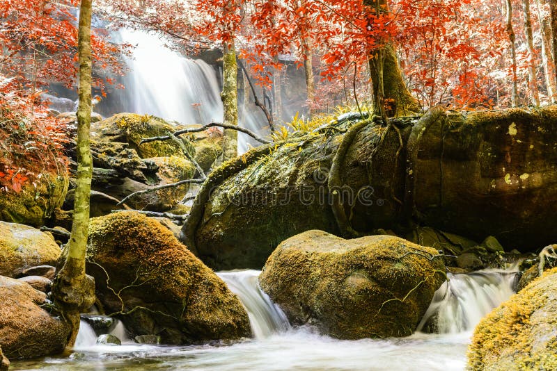 Waterfall with Sunbeam in Rainforest Stock Photo - Image of scenery ...