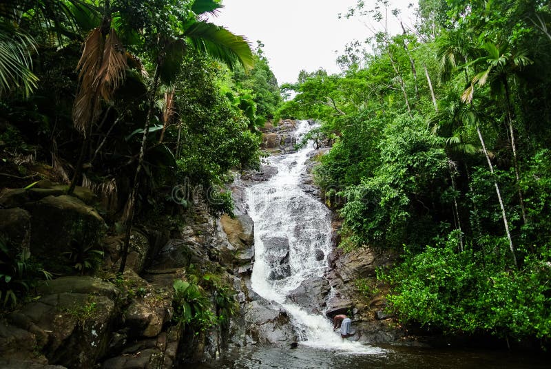 Waterfall stock photo. Image of looking, green, tropical - 53767664